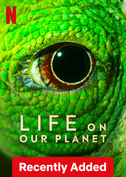 Is 'Life on Our Planet' on Netflix in Australia? Where to Watch the ...